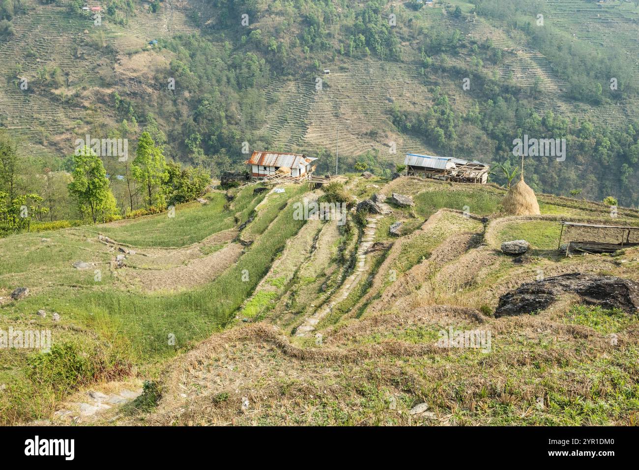 Traditional village scenes in the Himalayan foothills on the ...