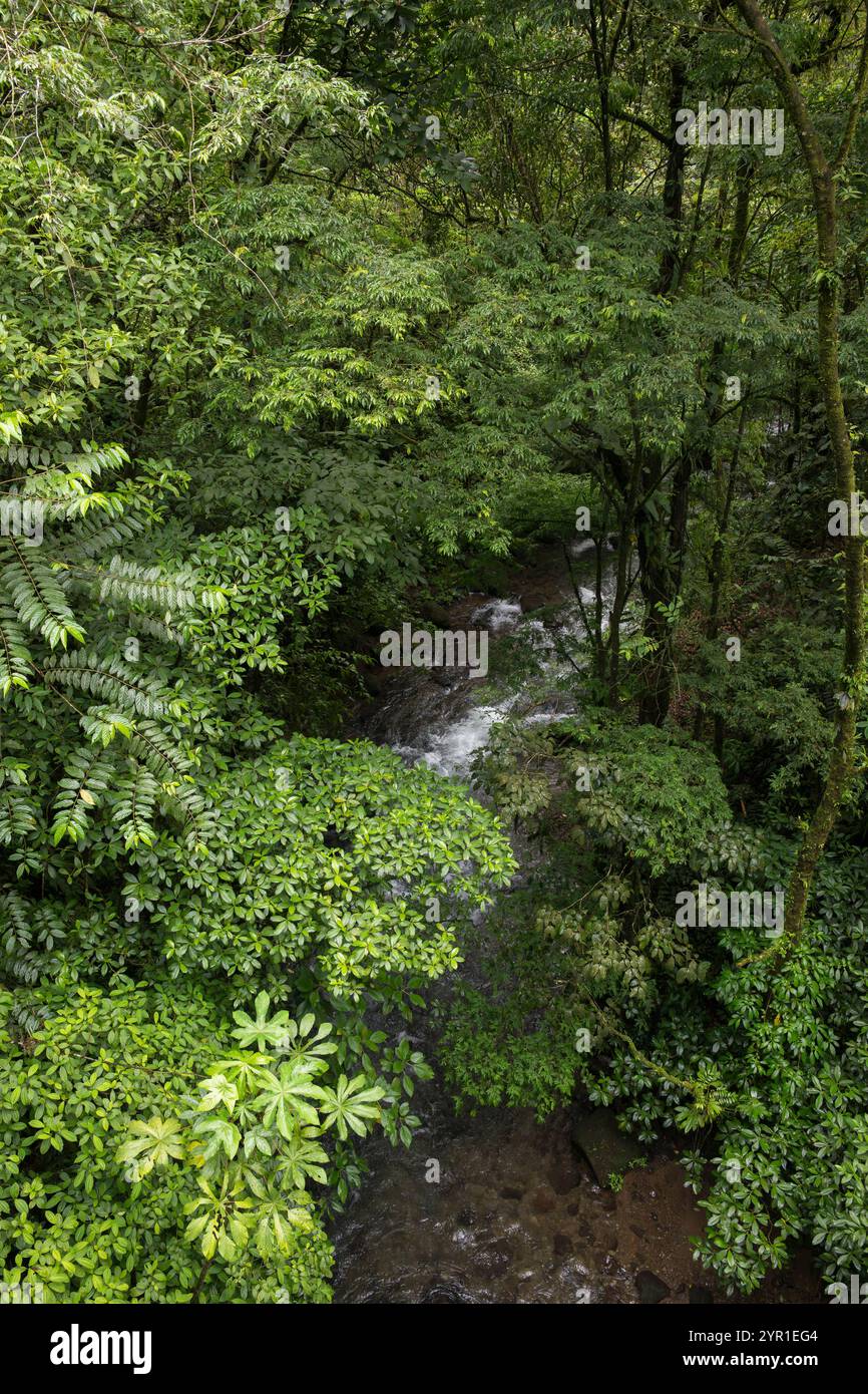 Rainforest and river, near Arenal Observatory, Costa Rica Stock Photo ...