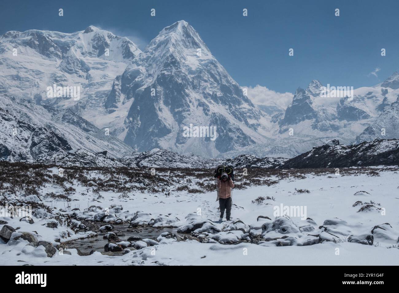 Porter carrying a load from Kangchenjunga (Kanchenjunga) Base Camp ...