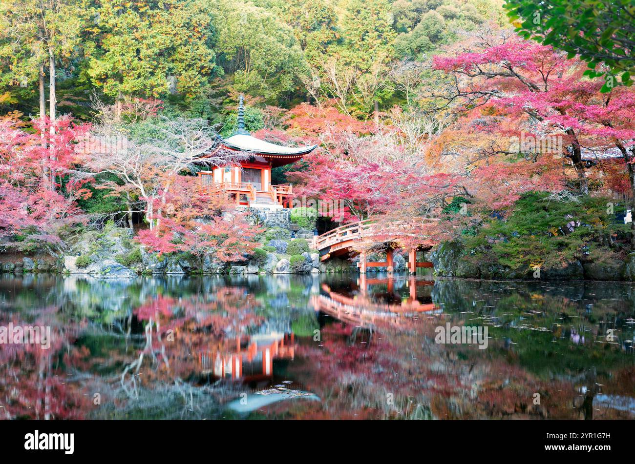Red pagoda and red bridge with pond and color change maple trees in ...