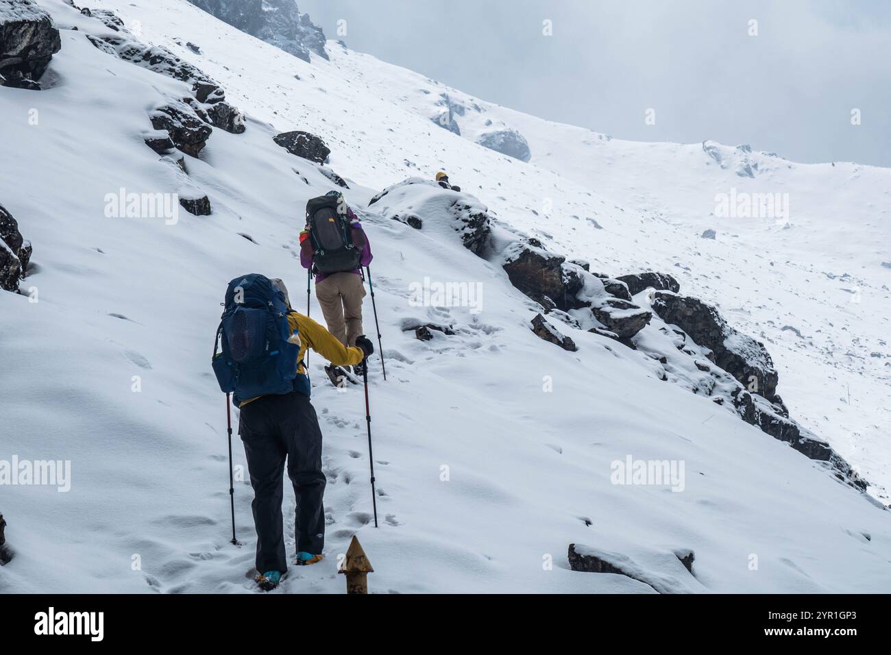 Trekking to the Sele La and Mirgin La passes on the Kangchenjunga ...