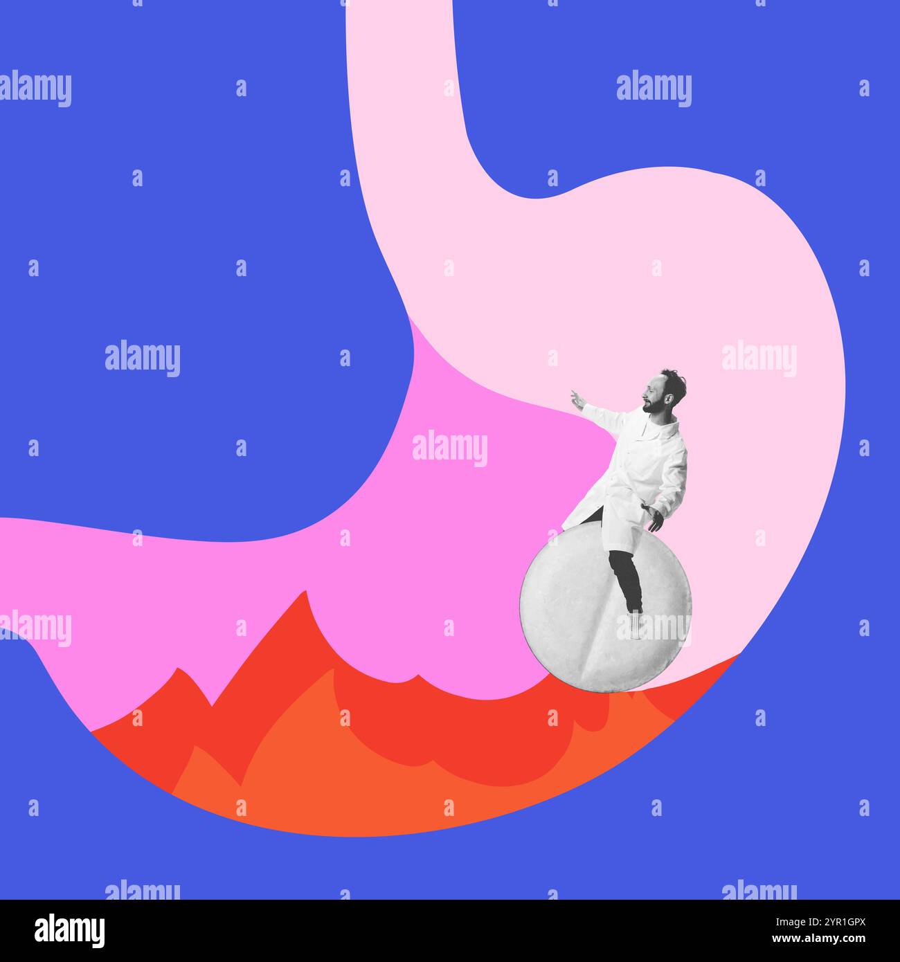 Balancing organ hi-res stock photography and images - Alamy