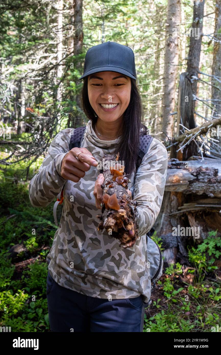 Female forager hi-res stock photography and images - Alamy