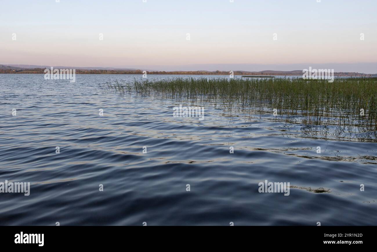 Lough Scannell in Leitrim on a summers day Stock Photo - Alamy