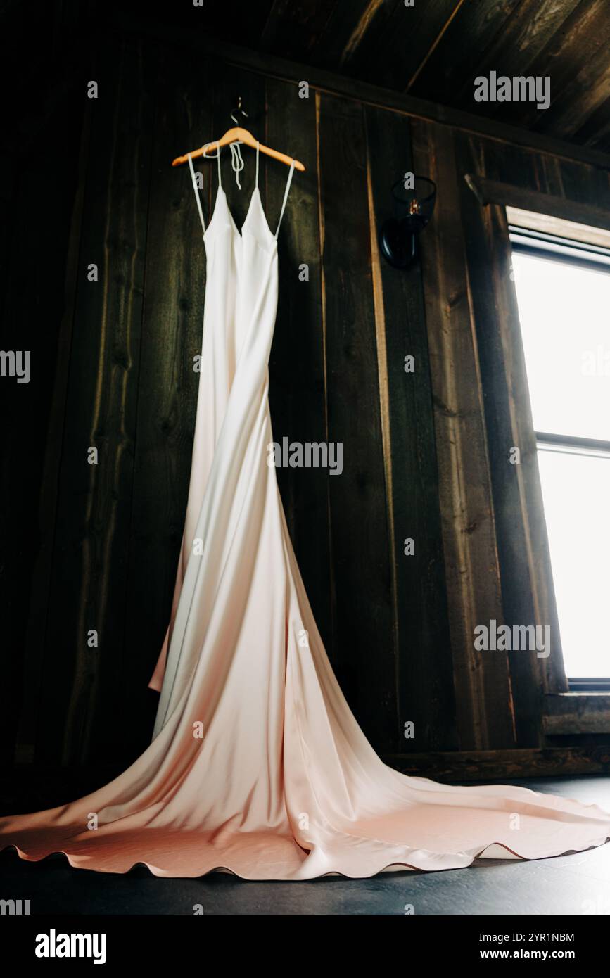 Sleek blush bridal gown hanging in rustic wood panel room Stock Photo ...