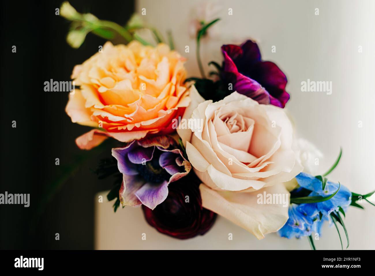 Low key roses hi-res stock photography and images - Alamy