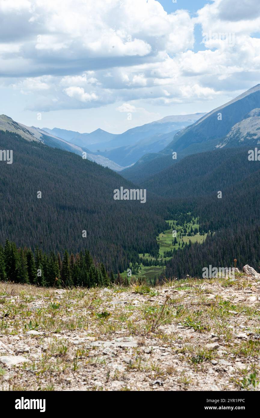 Mountain valley view with dense pine forest and distant peaks Stock ...