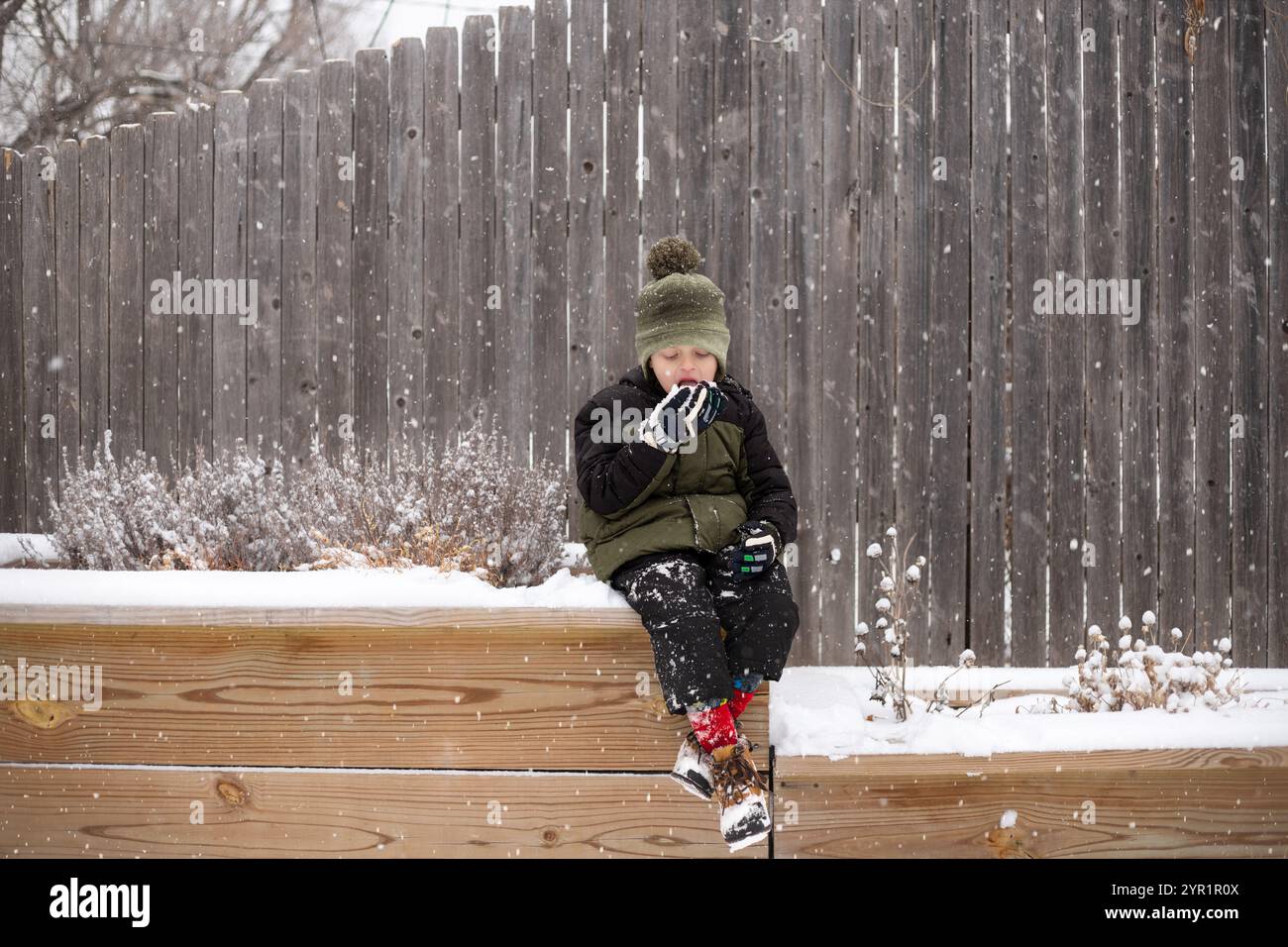 Child in winter clothing eating snow seated on a snowy wooden ledge ...