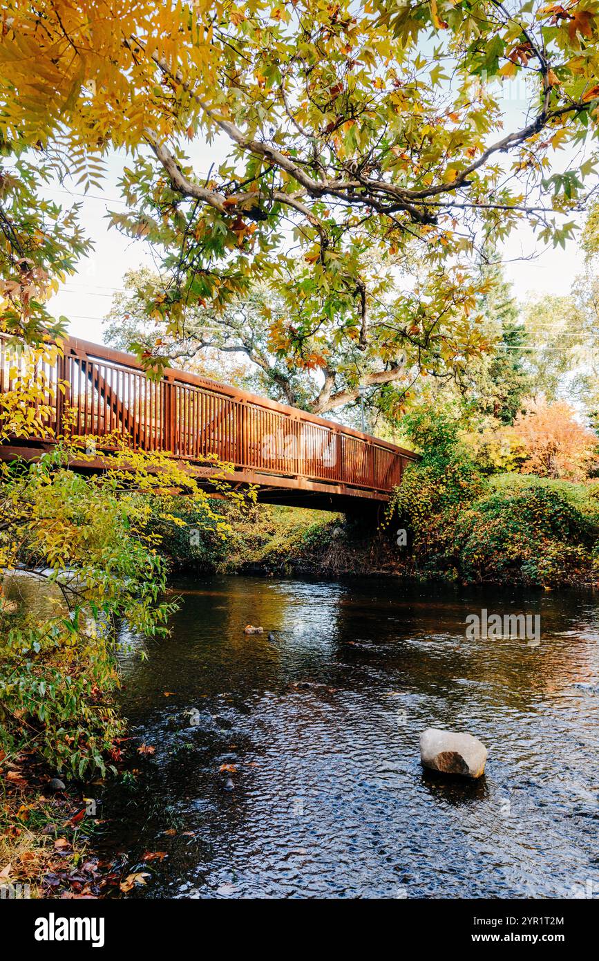 Pedestrian walking bridge over creek, Bidwell Park, Chico, CA Stock ...