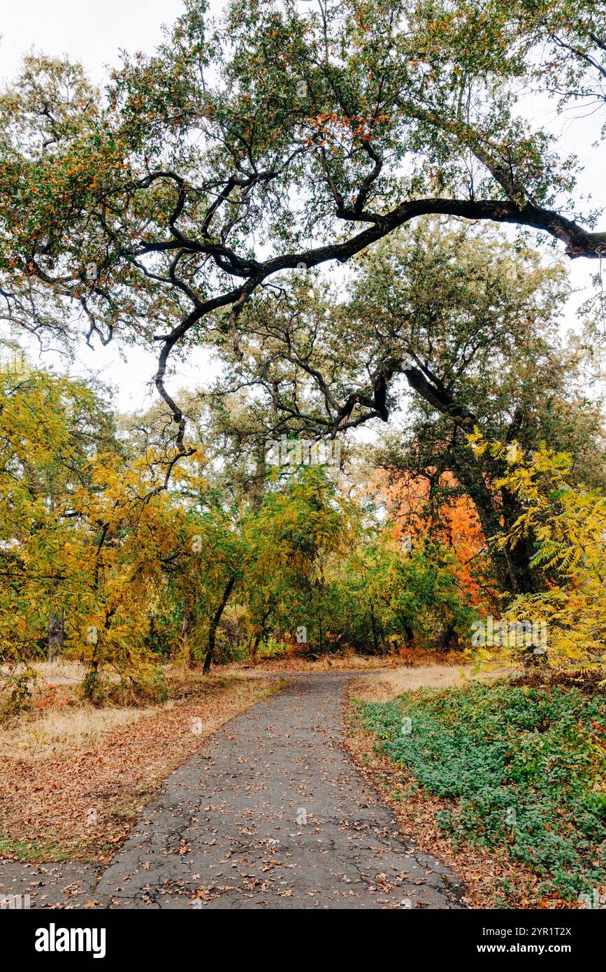Fall scene with curved walking path in Bidwell Park, Chico, CA Stock ...