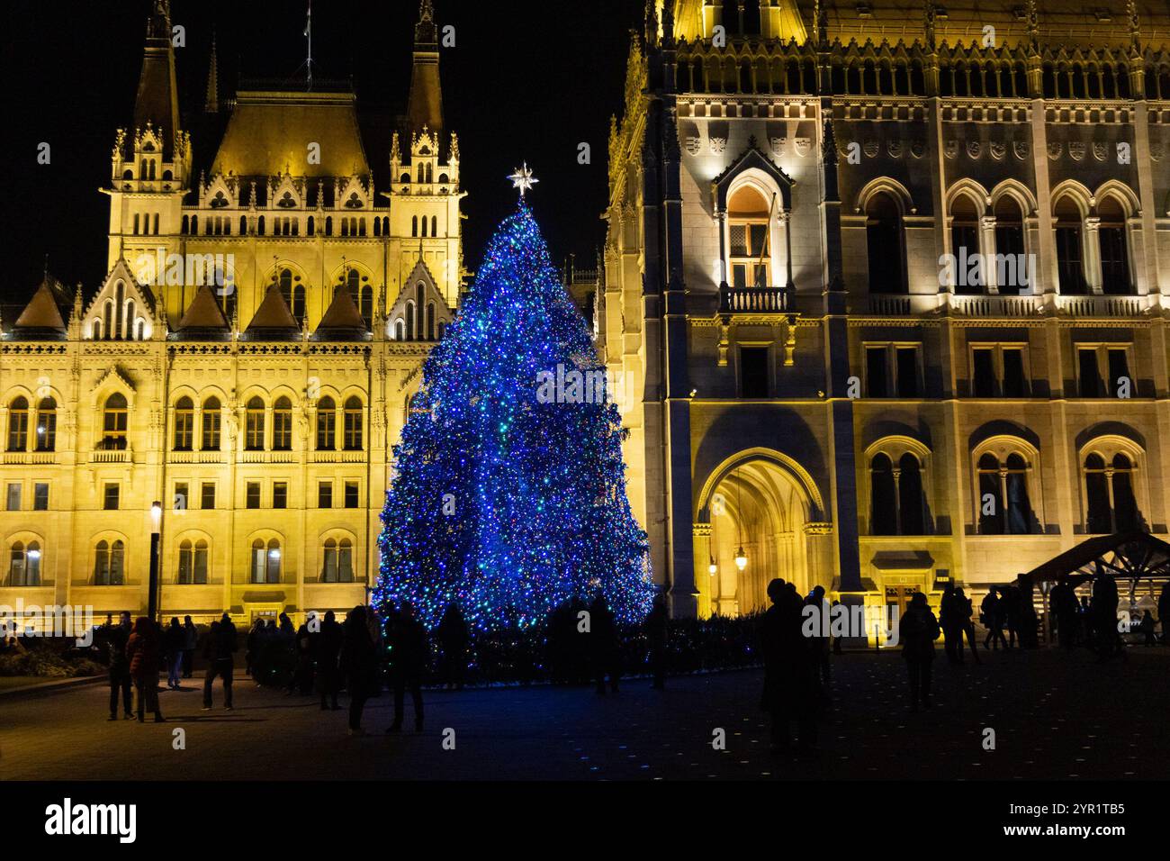 Tall fir tree stands hi-res stock photography and images - Alamy