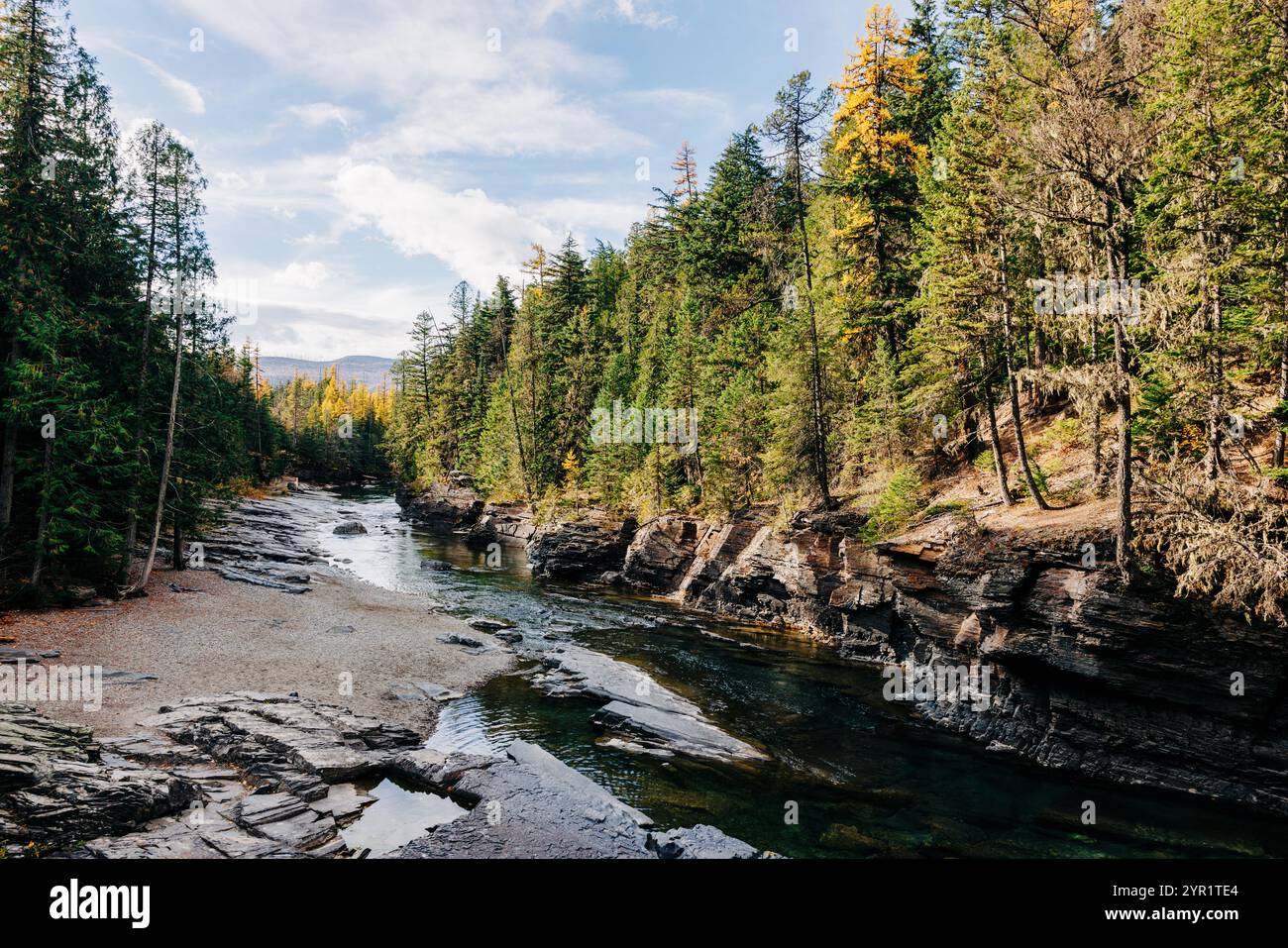 Scenic river scene with evergreen forest, Glacier National Park Stock ...