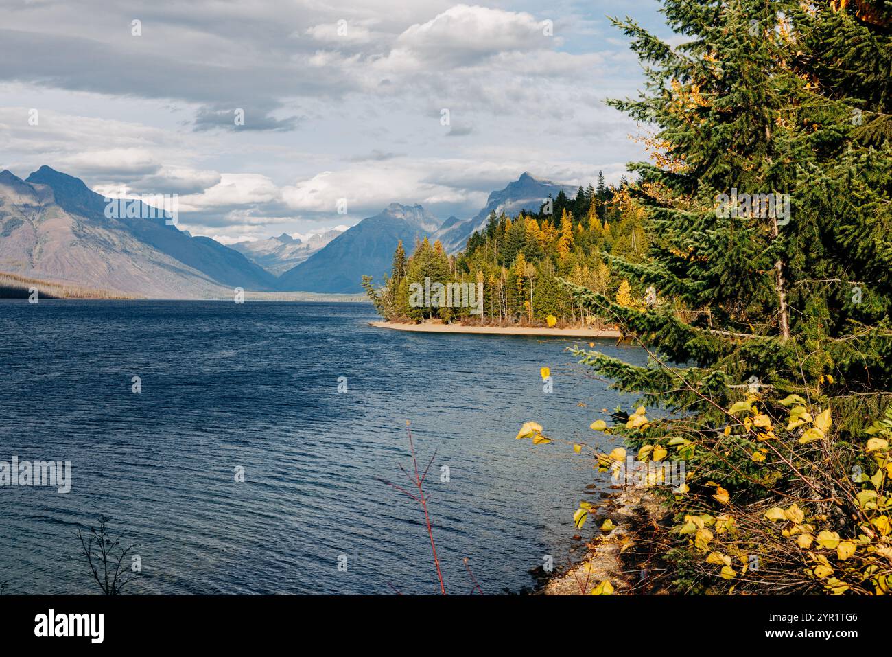 Lake McDonald flanked by fall larch trees, Glacier National Park Stock ...