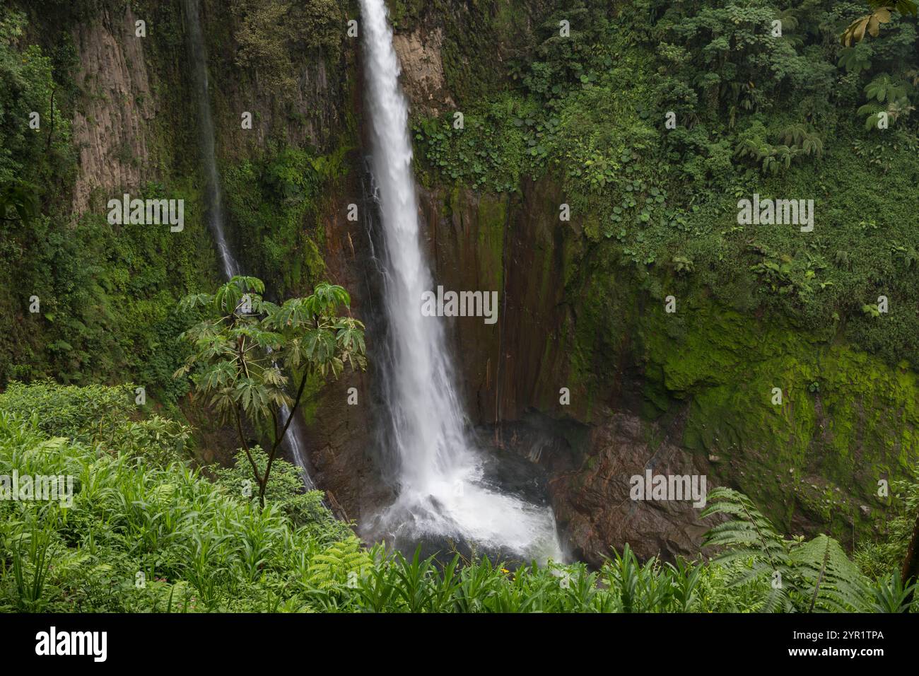 Toro Waterfall, Catarata Del Toro, Alajuela Province, Bajos Del Toro ...