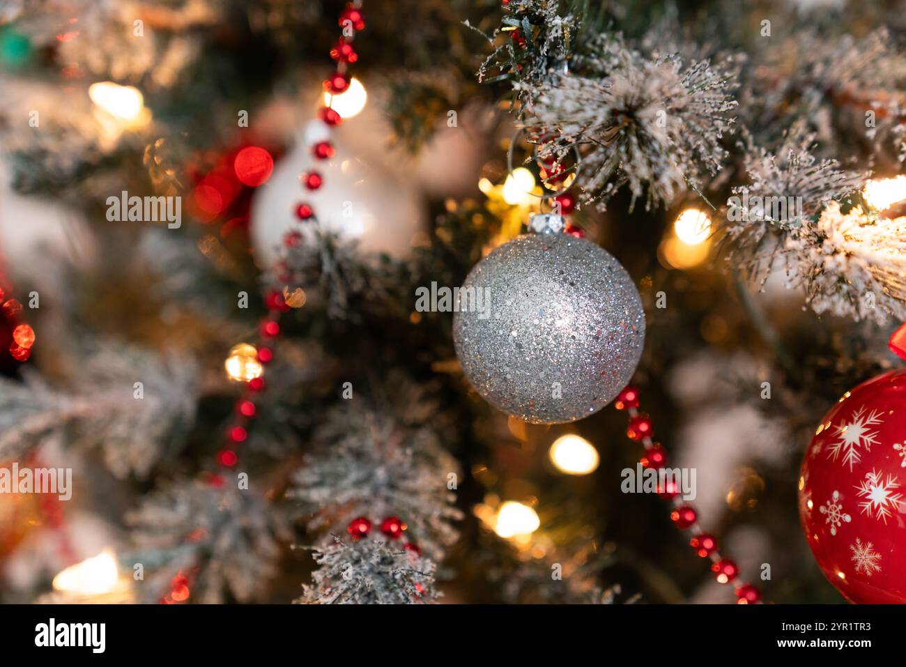 Evergreen holiday display hi-res stock photography and images - Alamy