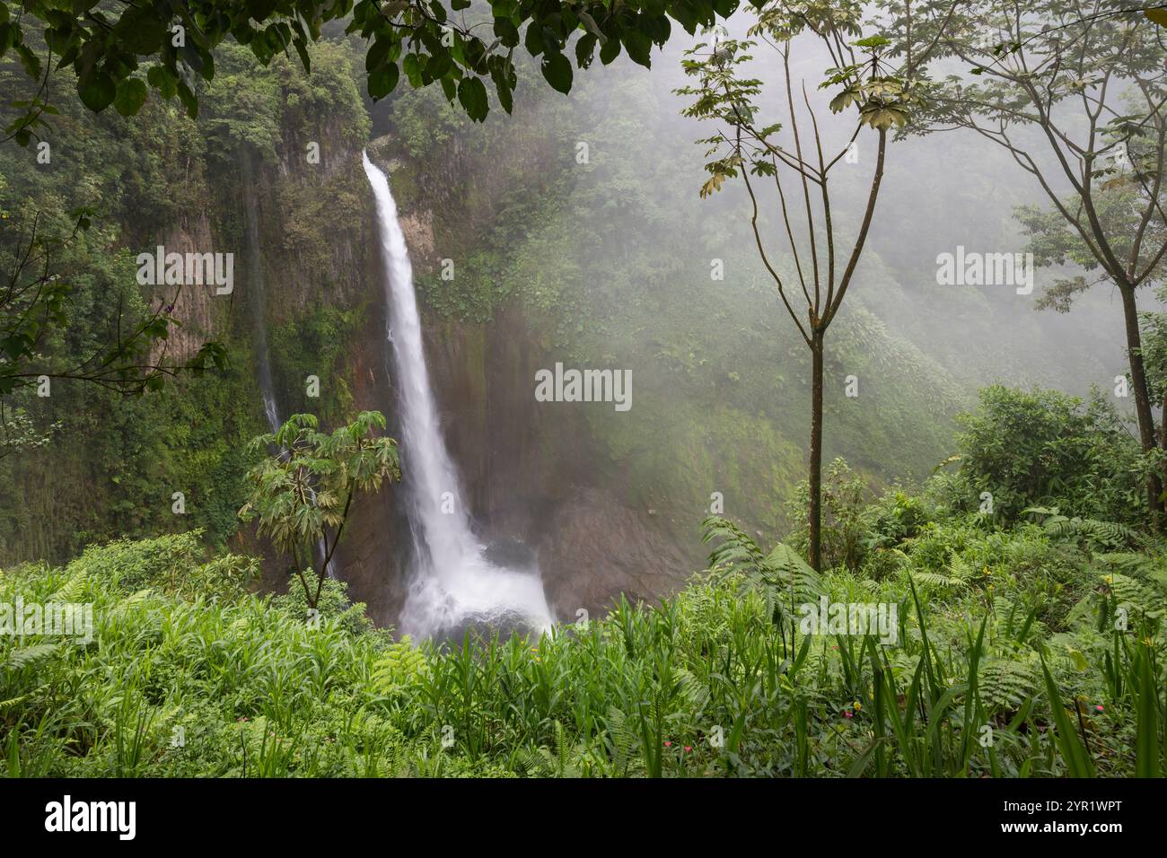 Toro Waterfall, Catarata Del Toro, Alajuela Province, Bajos Del Toro ...