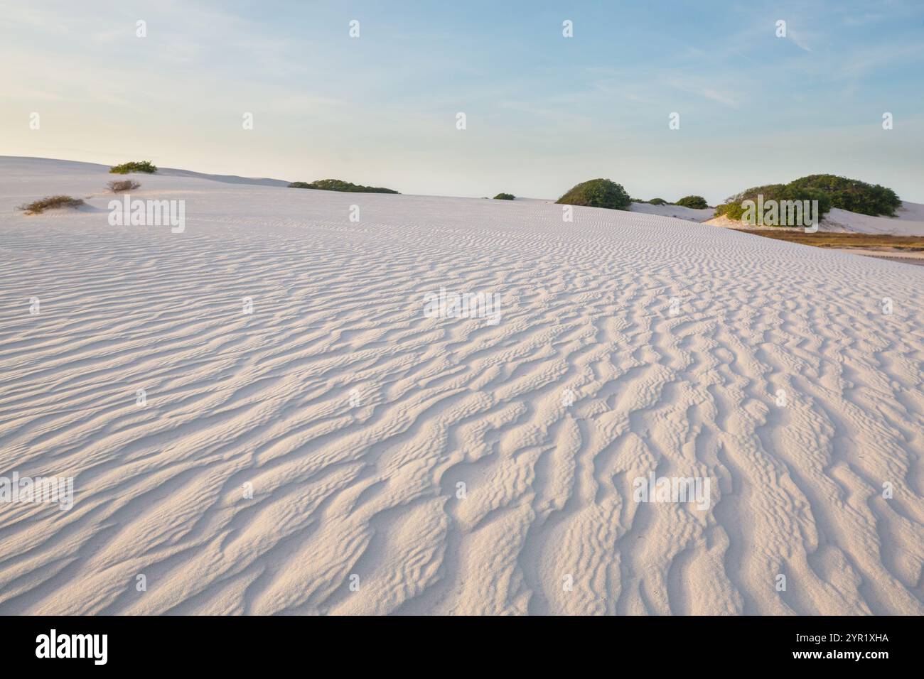 Lagoons in the desert of Lencois Maranhenses National Park, Brazil ...