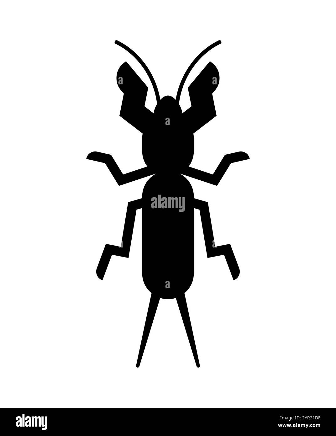 Mole cricket isolated sign. large burrowing nocturnal cricket Stock ...