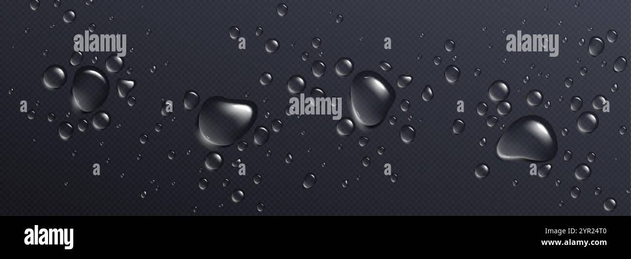 Water drops on transparent background. Vector realistic illustration of ...