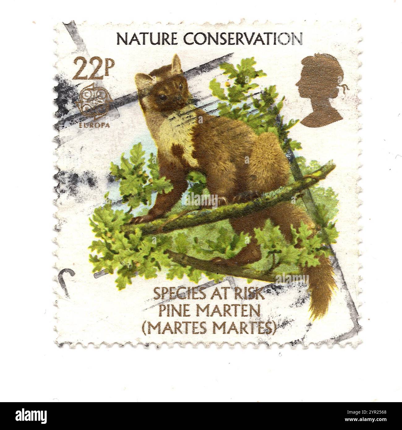 A vintage nature conservation postage stamp from Great Britain ...