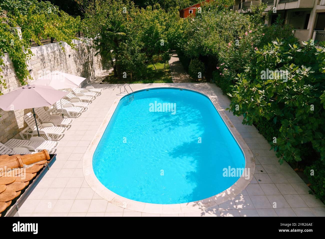 White sun loungers stand under umbrellas by the pool among flowering ...
