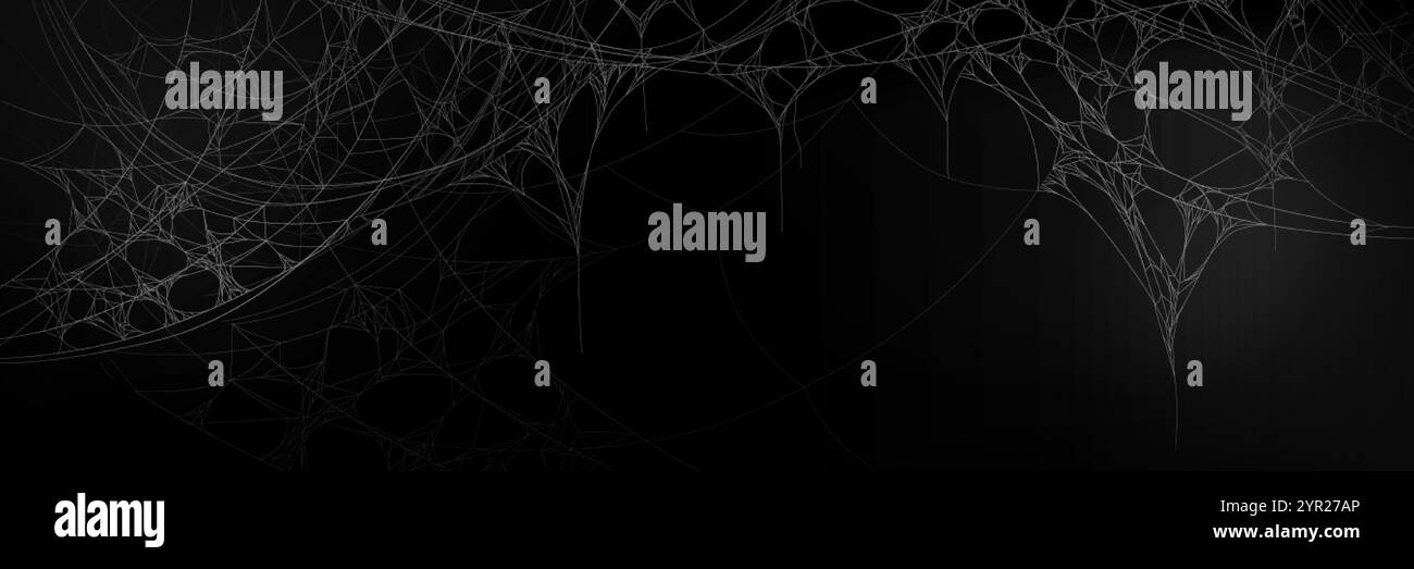 Delicate white spider web structure on dark backdrop. Tricky insect ...