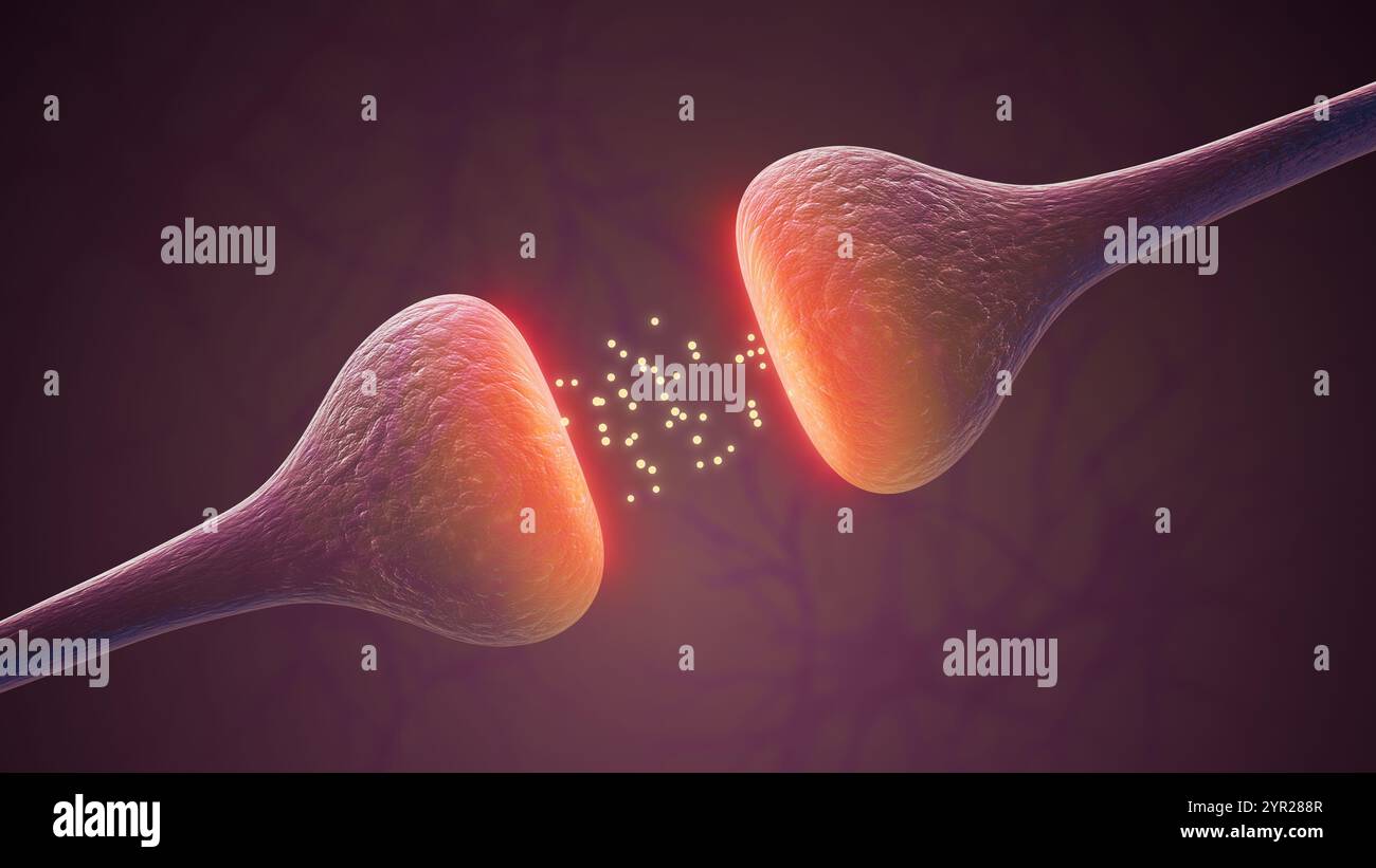Active Synaptic Signals Strengthening Neural Pathways Stock Photo - Alamy