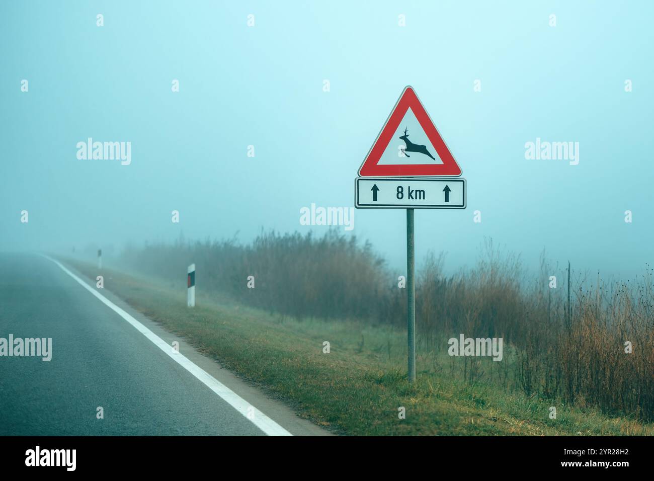 Wild animals In road traffic sign on foggy morning, selective focus ...