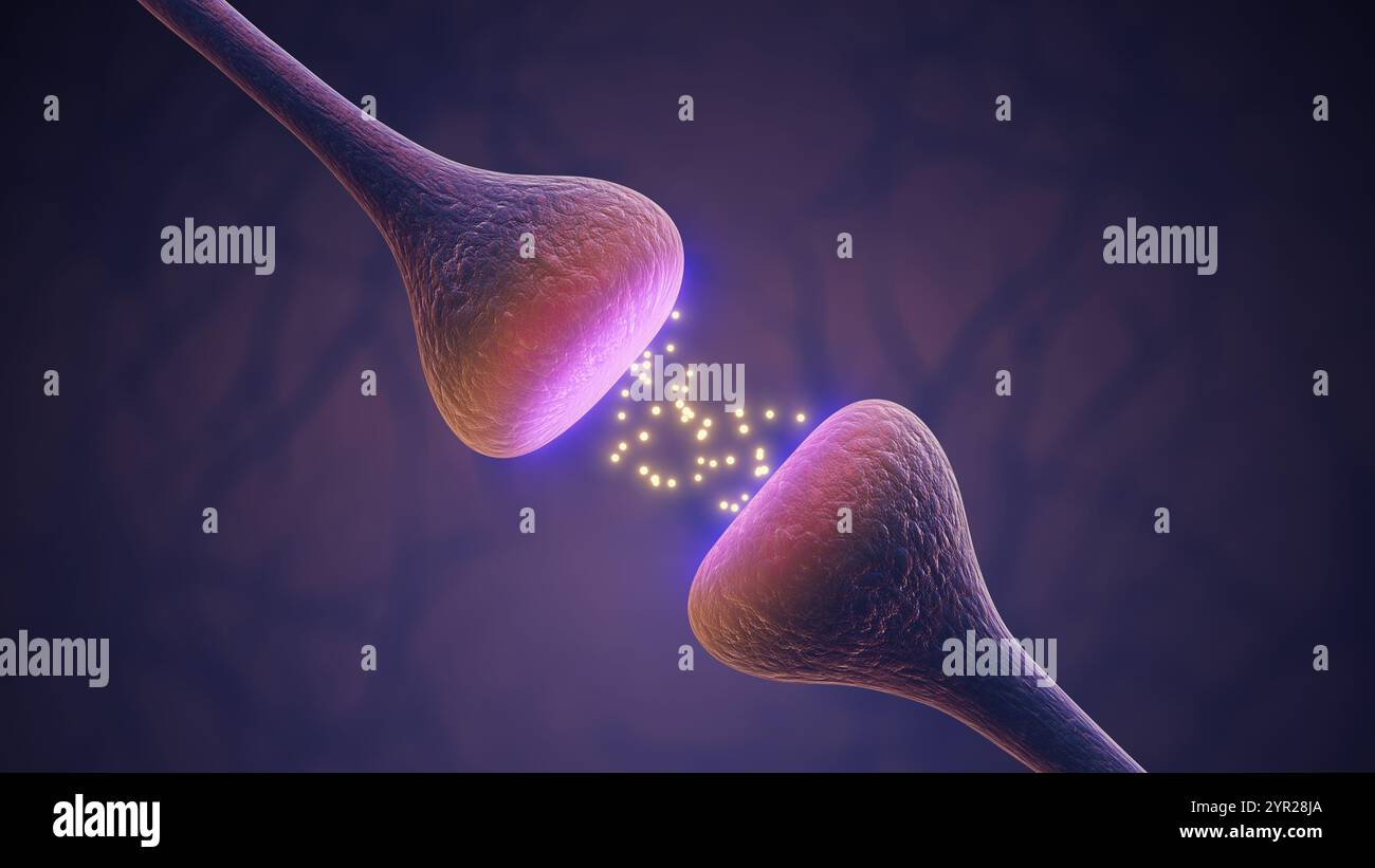 Synaptic Signals Driving Activity in Neural Pathways Stock Photo - Alamy