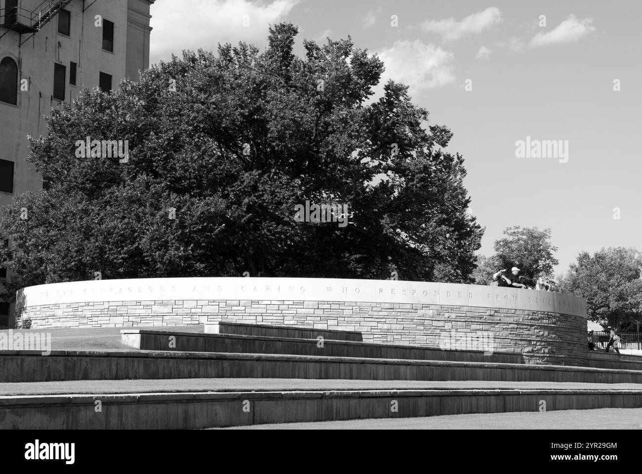 Tribute tree Black and White Stock Photos & Images - Alamy