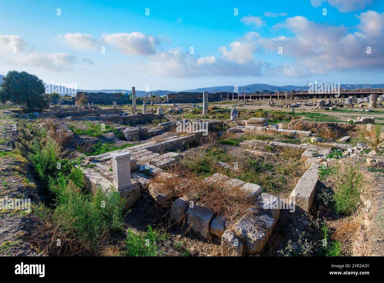 The Ancient City Of Magnesia ad Maeandrum in Turkey Stock Photo - Alamy