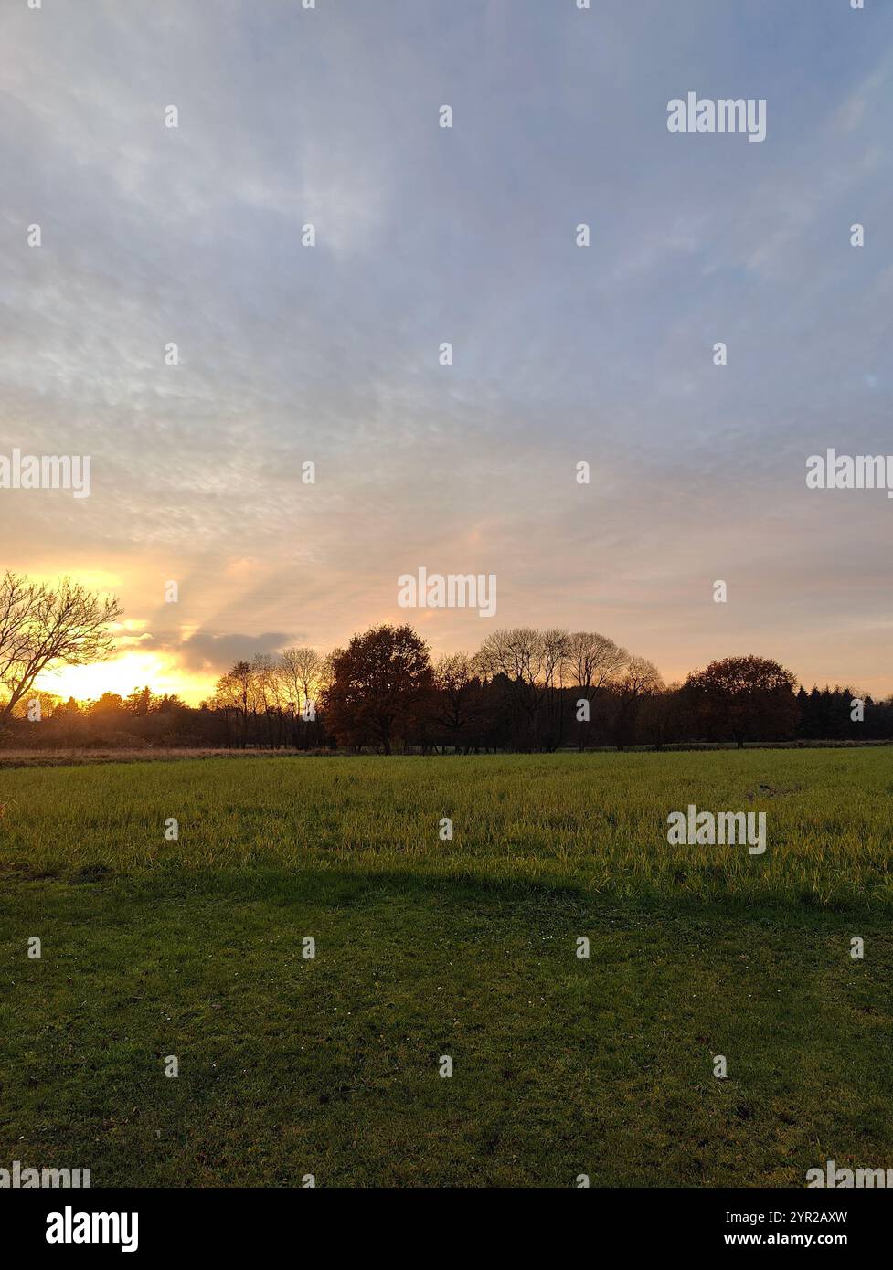 Stunning rise hi-res stock photography and images - Alamy