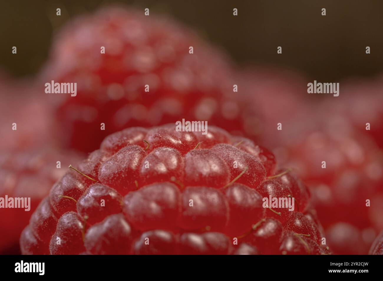 Close up shot group eco hi-res stock photography and images - Alamy