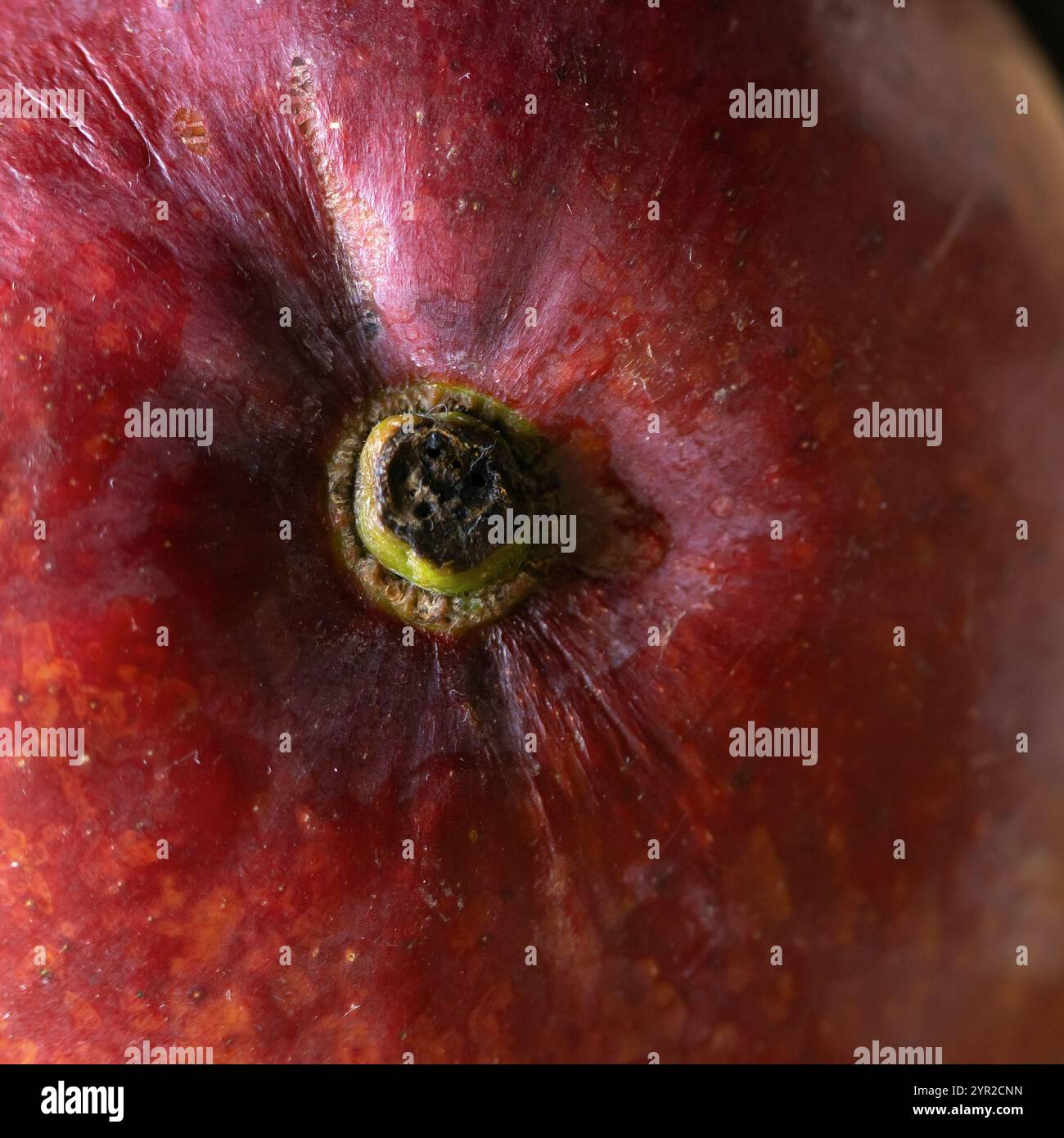 Vivid fruit hi-res stock photography and images - Alamy