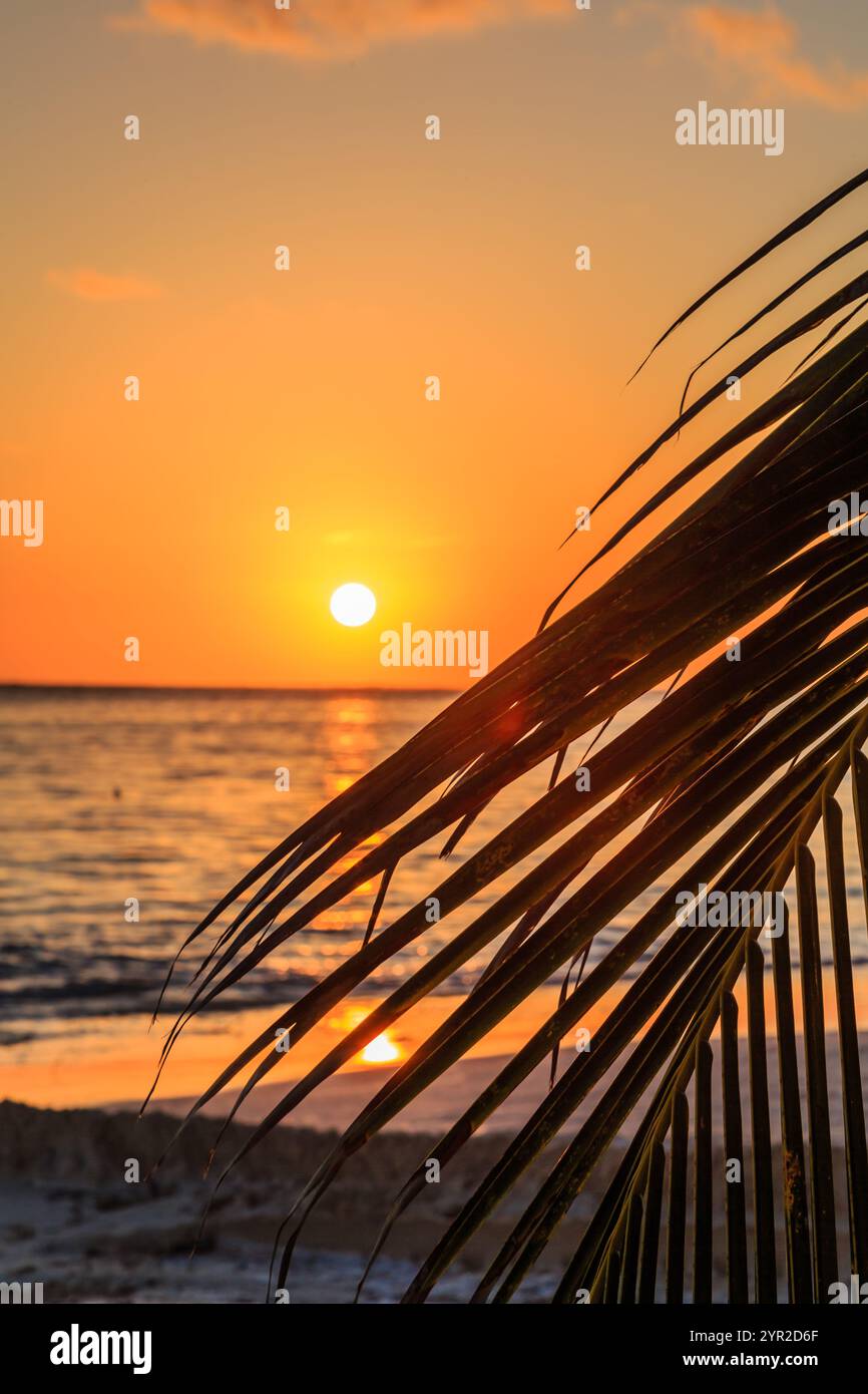 Beautiful sunset casting warm hi-res stock photography and images - Alamy