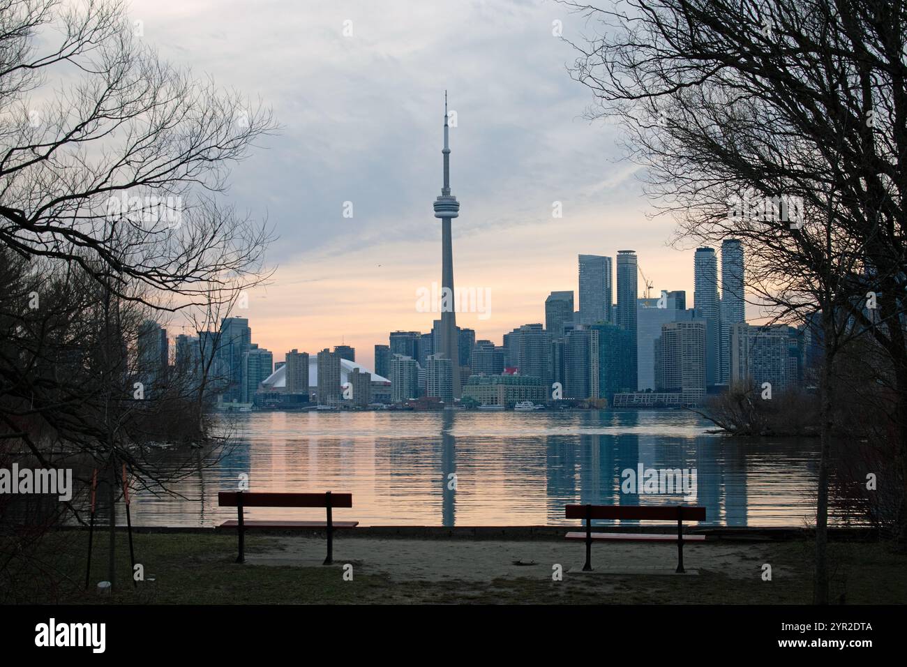 Two benches look out between trees across Lake Ontario towards the ...