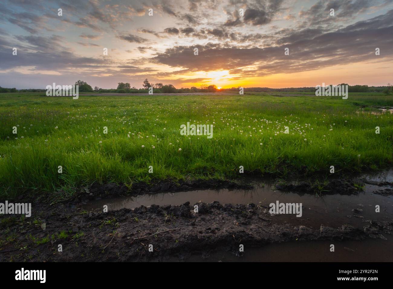Meadow with sunset hi-res stock photography and images - Alamy