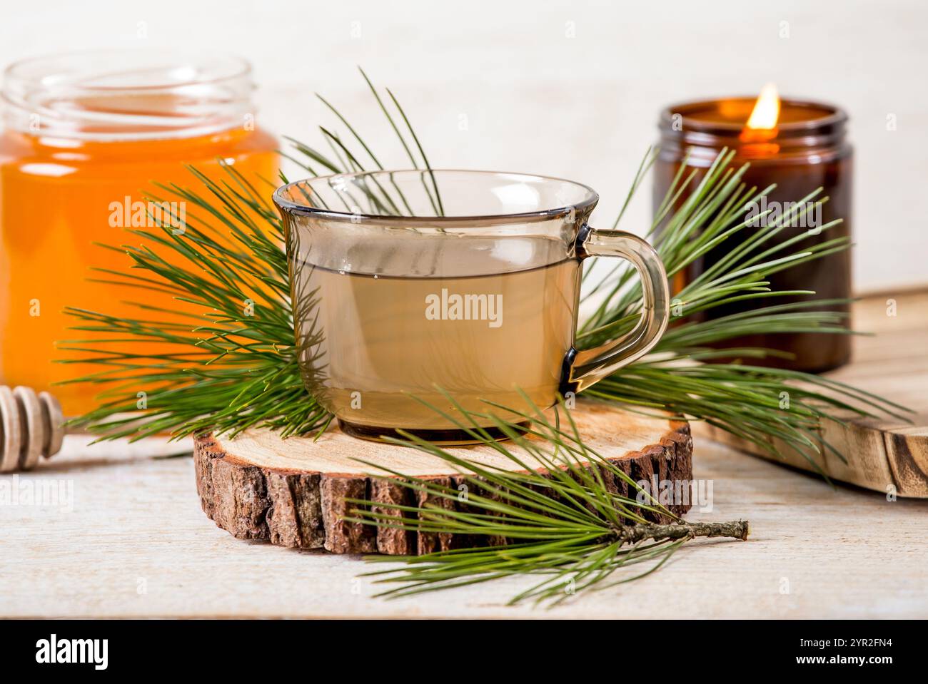 Pine Pinus needle tea infusion with honey. Tree branches for decoration ...