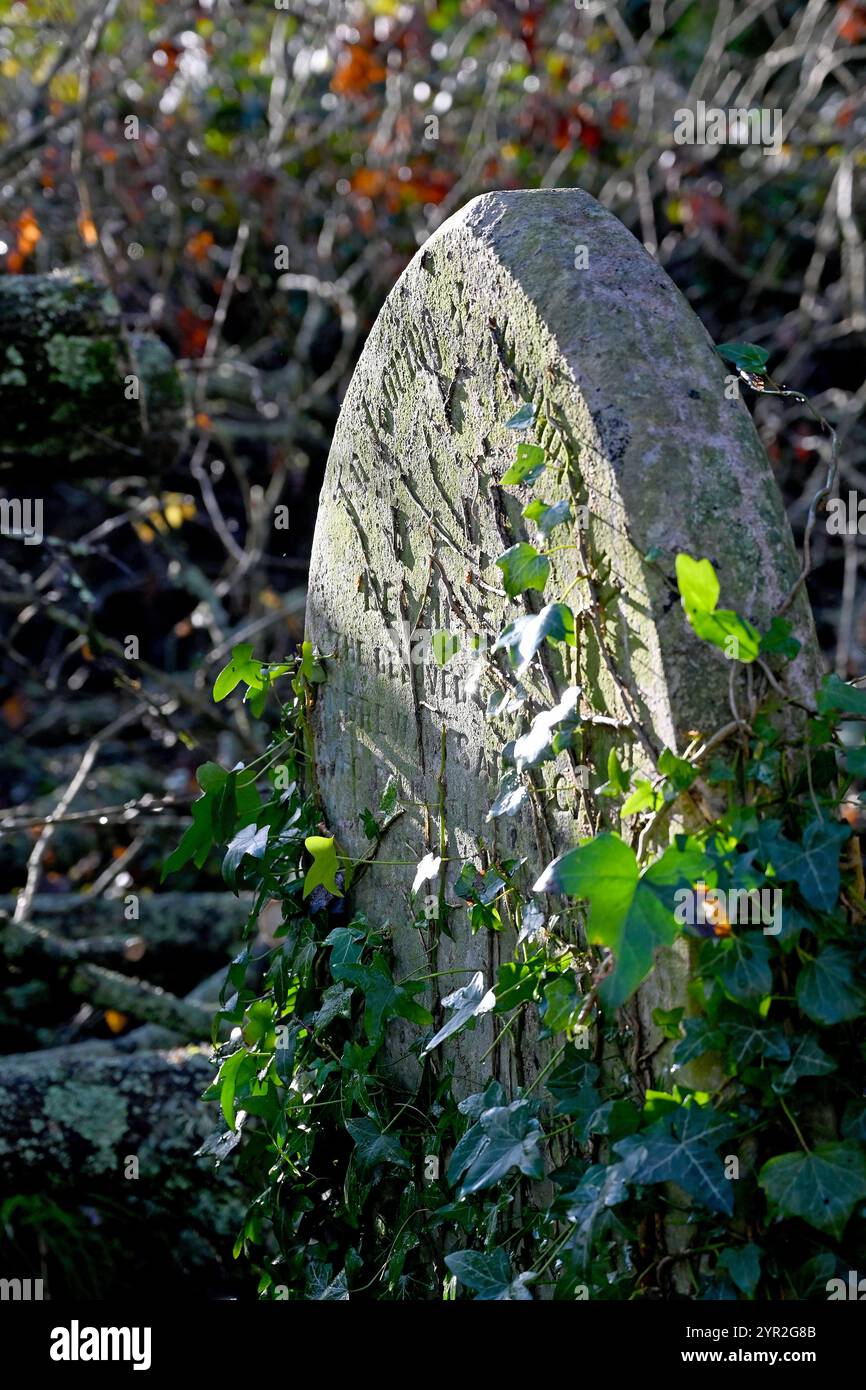 Southampton common cemetery hi-res stock photography and images - Alamy