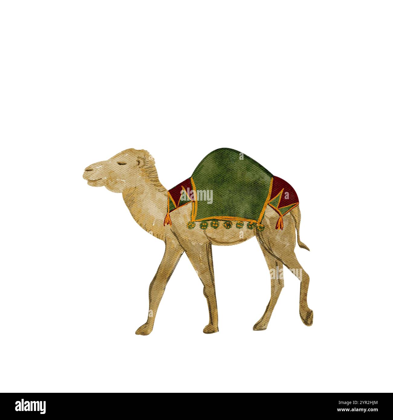 Camel with rich green saddle, blanket Christmas watercolor illustration ...