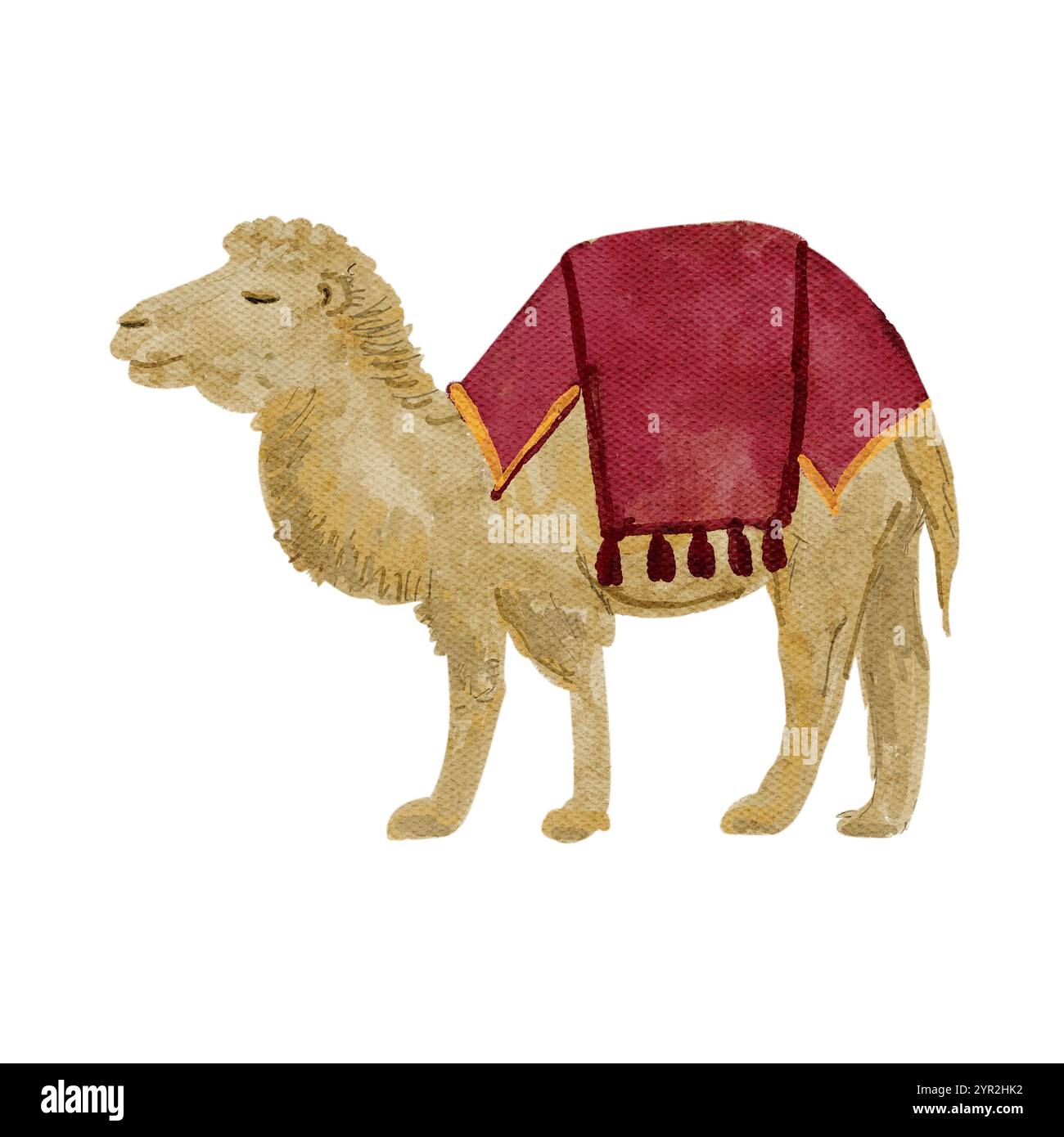 Camel with rich red saddle, blanket Christmas watercolor illustration ...