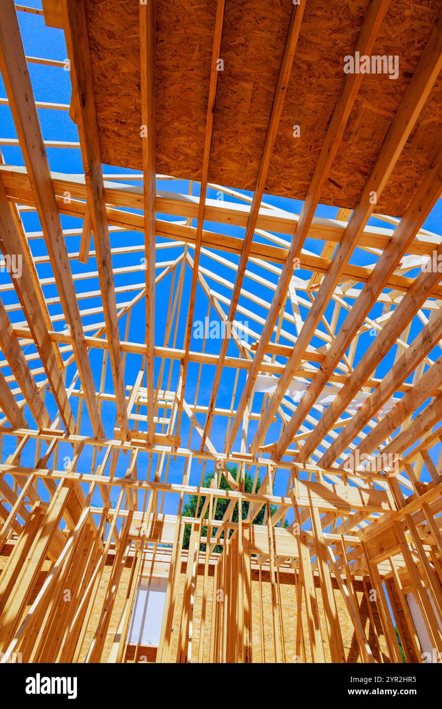 Wooden structure framework skeletal frame of building, highlighting intricate network of wooden ...