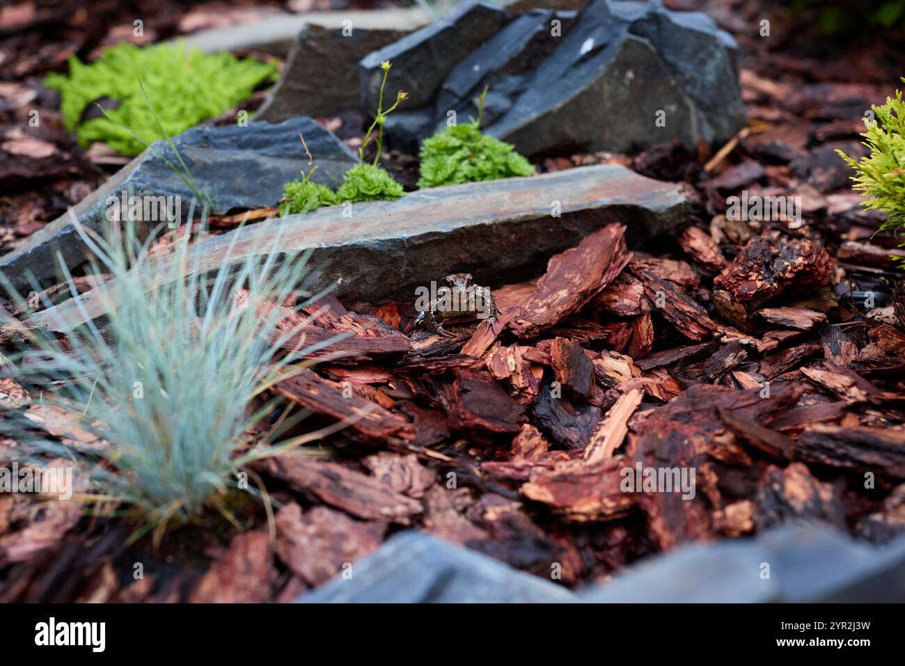 A Beautiful and Vibrant Garden Landscape Featuring Rock and Bark Mulch ...