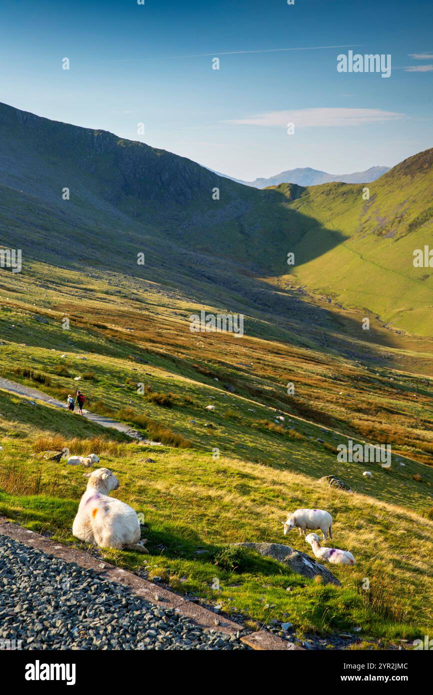UK, Wales, Gwynedd, Snowdonia, Llanberis, Snowdon Mountain Railway ...