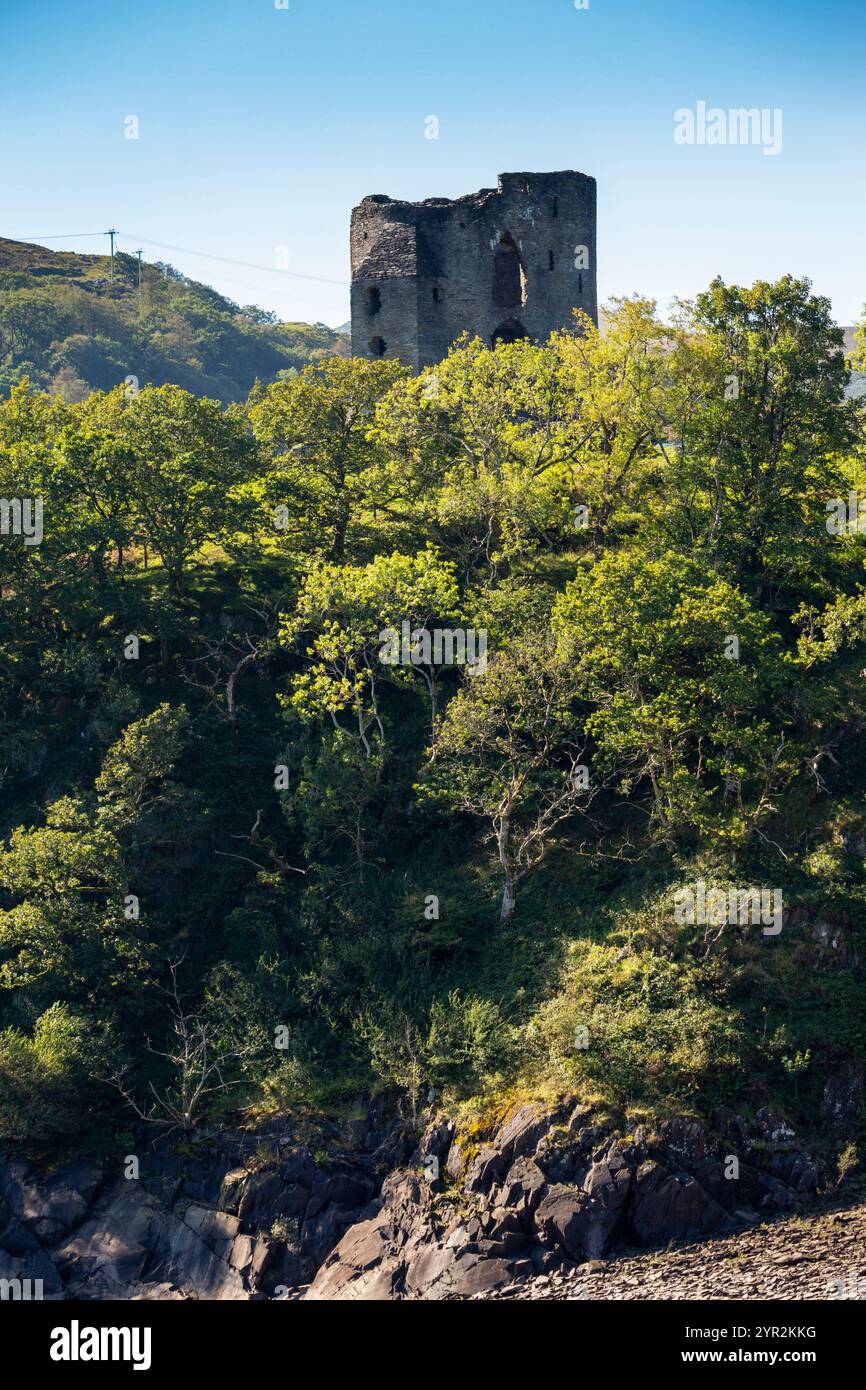UK, Wales, Gwynedd, Snowdonia, Llanberis, Dolbadarn Castle ruins from ...