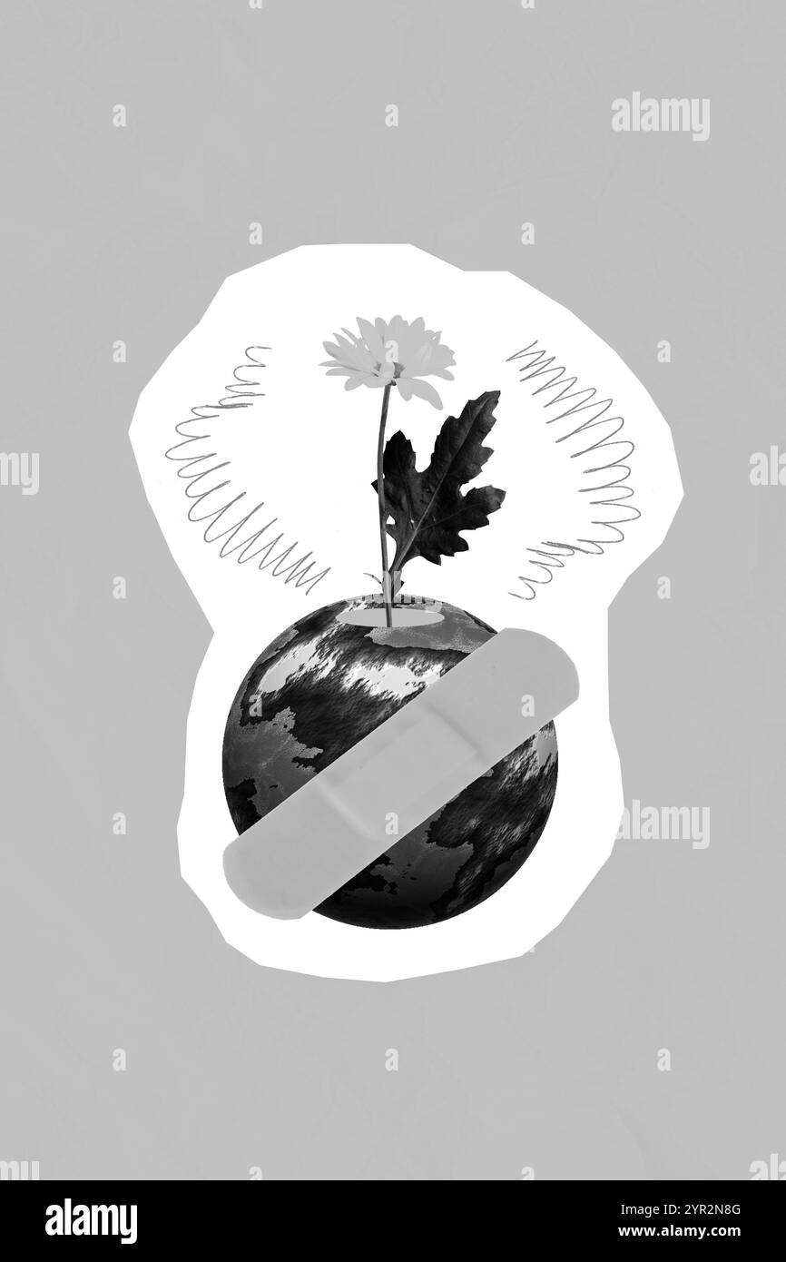 Collage photo picture of last flower blooming earth save planet stop ...