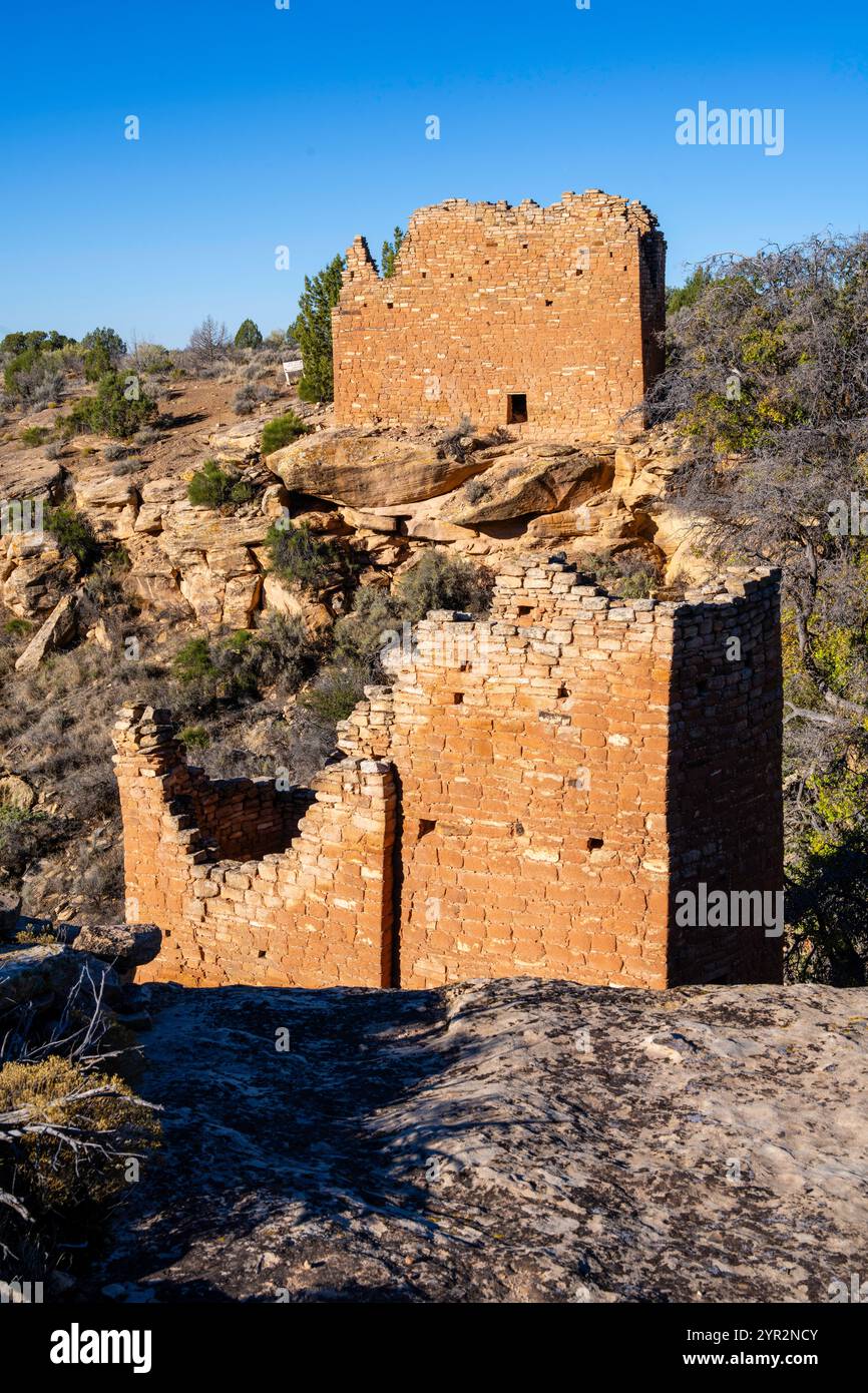 View of Holly House and Holly Tower at the Holly House Unit of ...