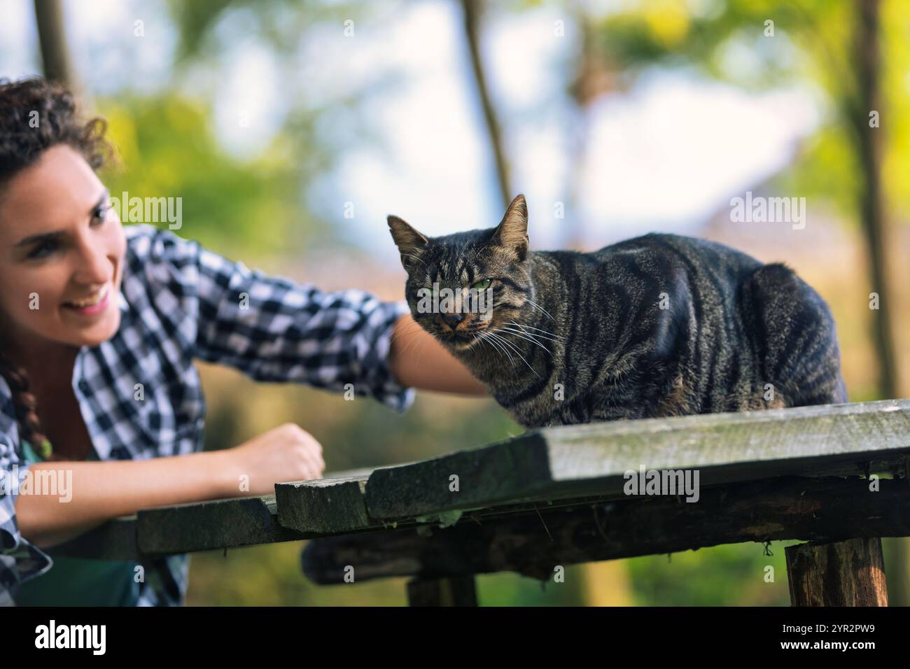 Young woman smiles while reaching out to pet a tabby cat sitting on a ...