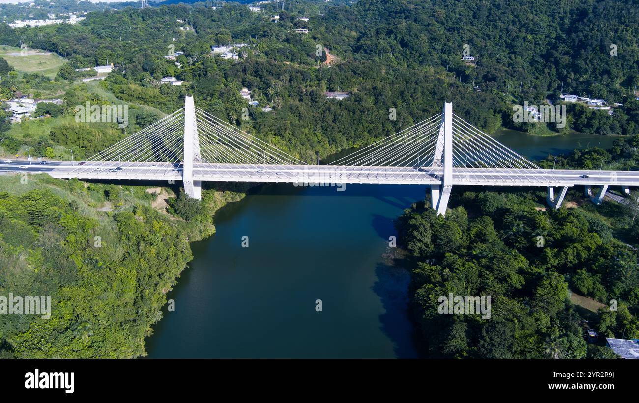 Rainforest puerto rico trees hi-res stock photography and images - Alamy