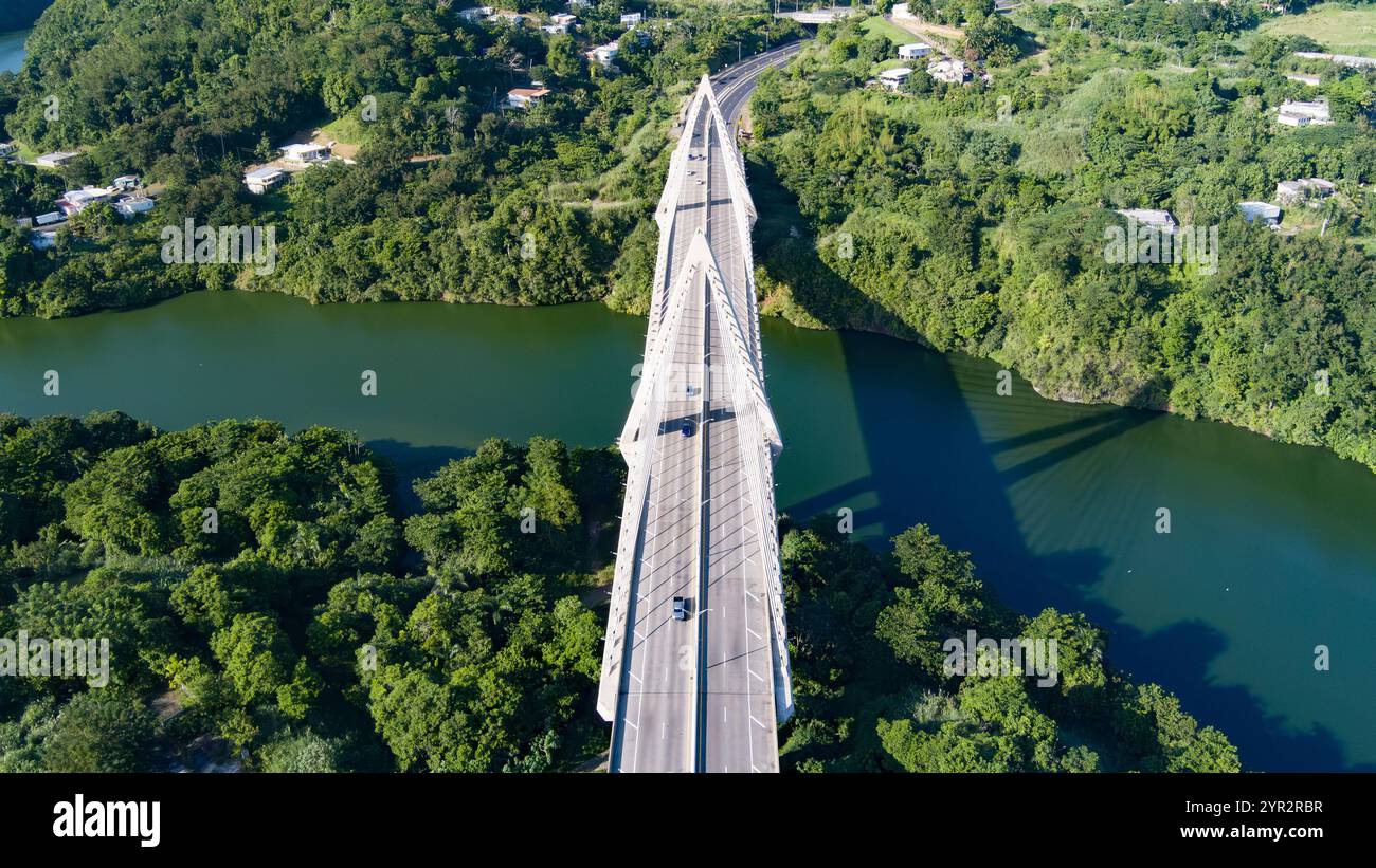 Rainforest puerto rico trees hi-res stock photography and images - Alamy